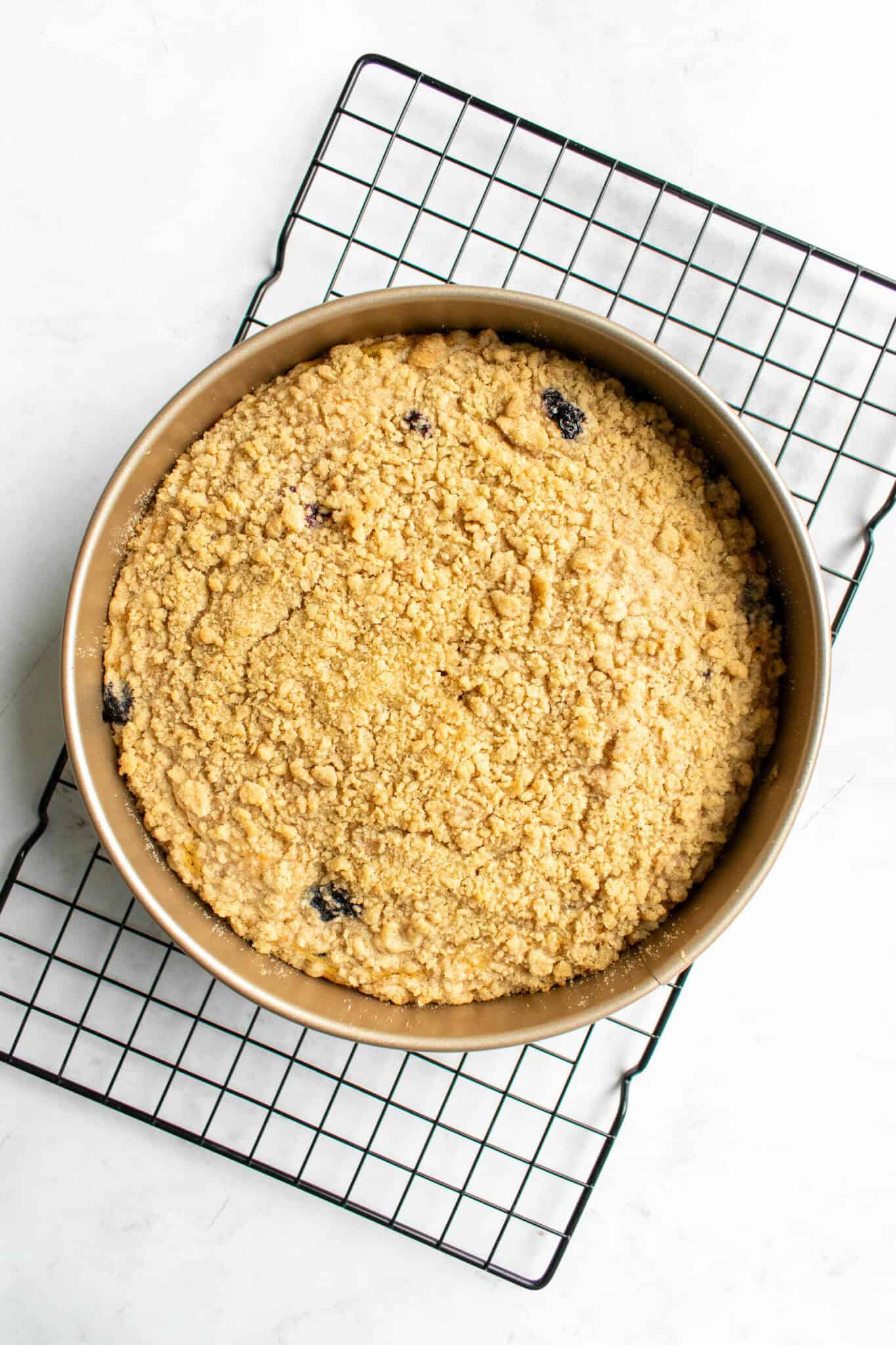 Blueberry Kuchen | German Blueberry Cake - Humbly Homemade