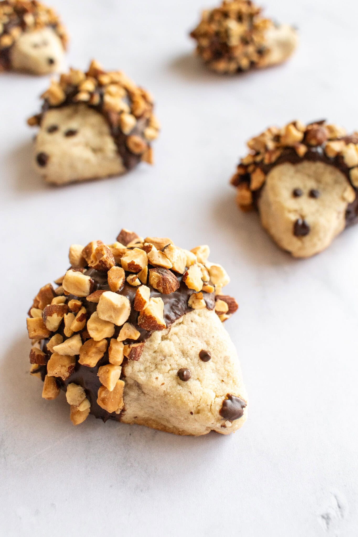 Hedgehog Cookies with Chocolate and Almonds - Humbly Homemade