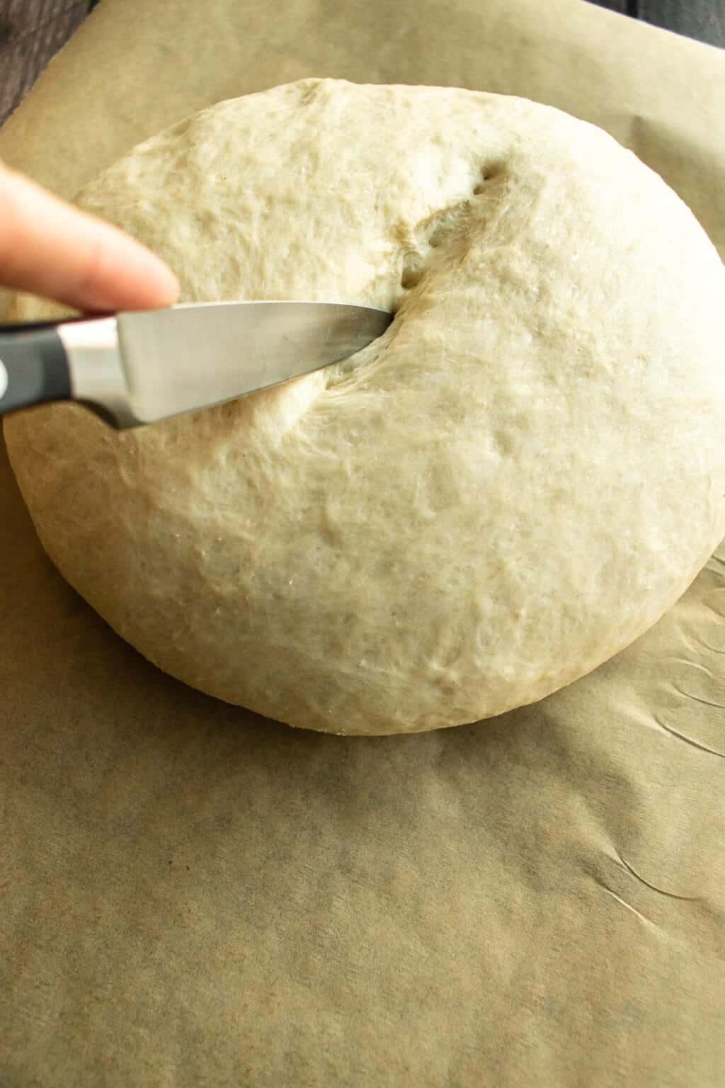 Rustic German Potato Bread in the Dutch Oven - Humbly Homemade