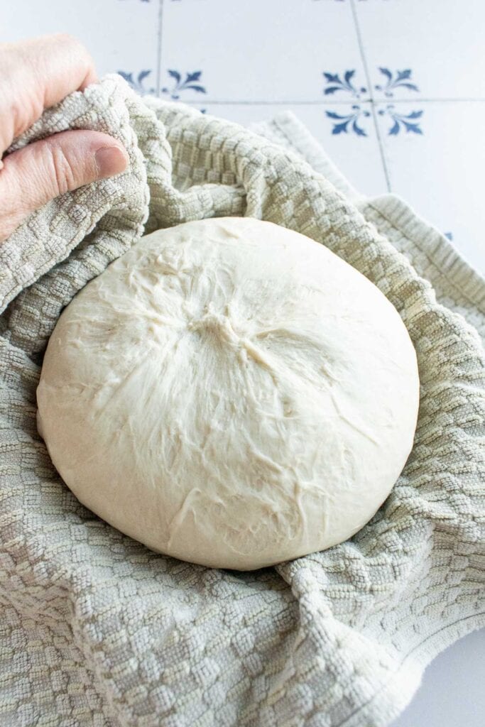 Bunny Shaped Bread Recipe (4-Ingredients!) - Humbly Homemade