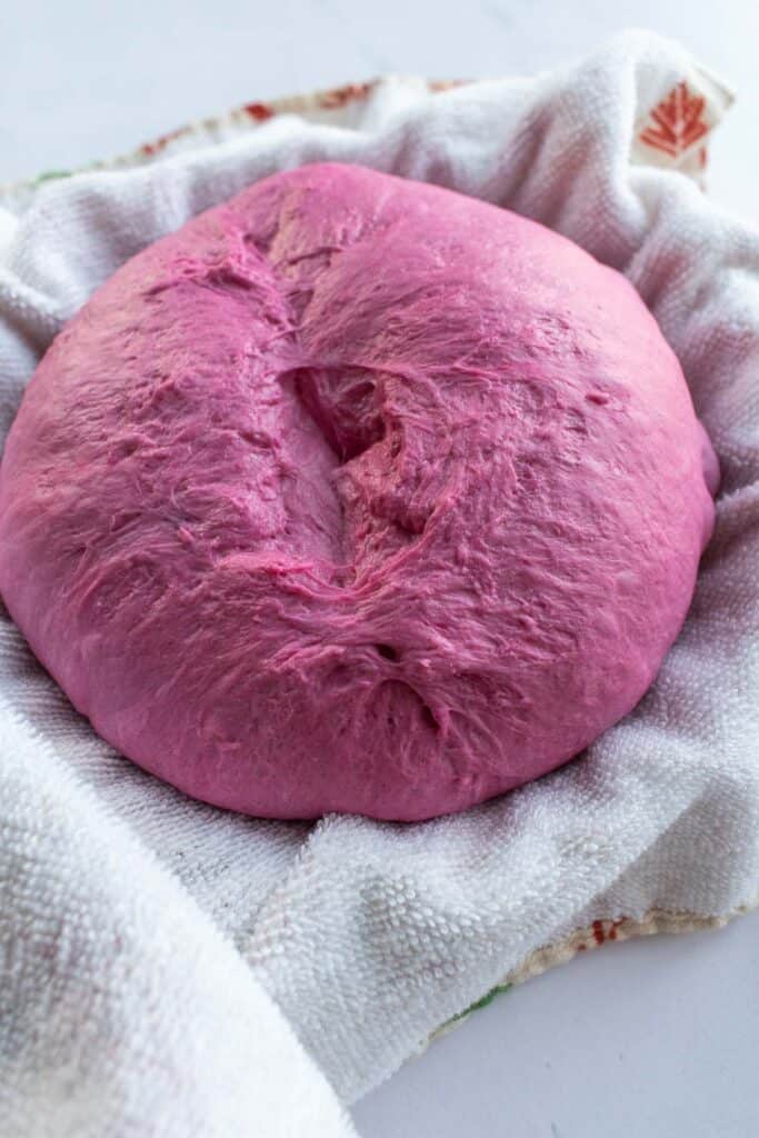 Pink Heart Shaped Bread (in the Dutch Oven) - Humbly Homemade